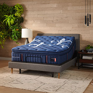 Box Springs, Adjustable Beds, Bases, Bed Frames